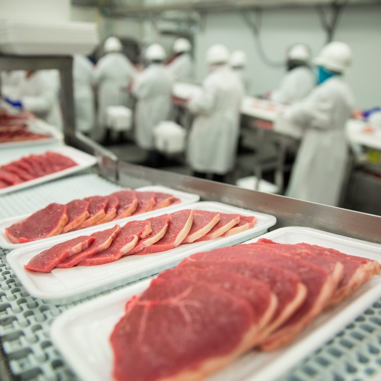 New Meat Processing Project - Skills Impact