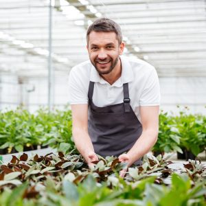 Projects - Skills Impact