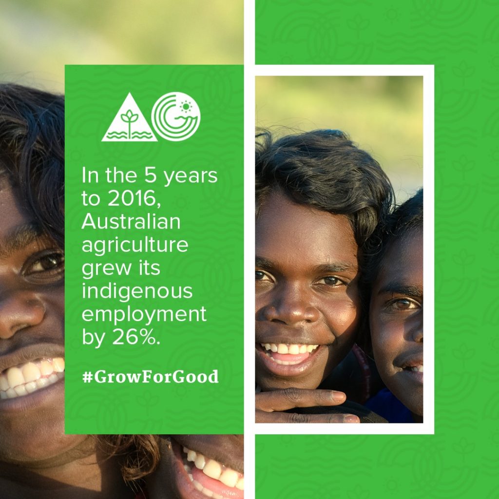 Indigenous employment - Skills Impact