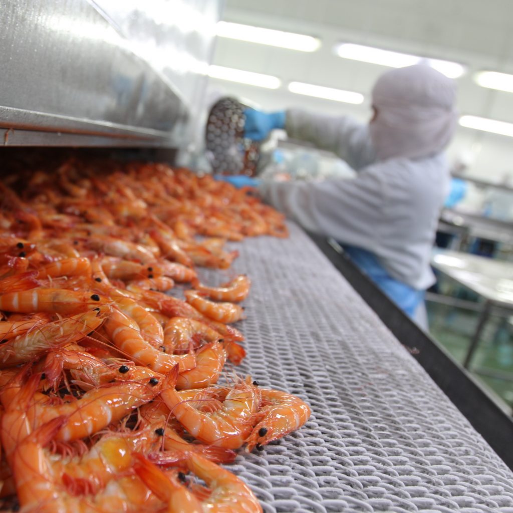 Seafood Post Harvest Project - Skills Impact