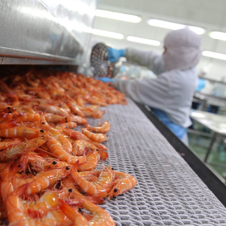 Seafood Post Harvest Project - Skills Impact