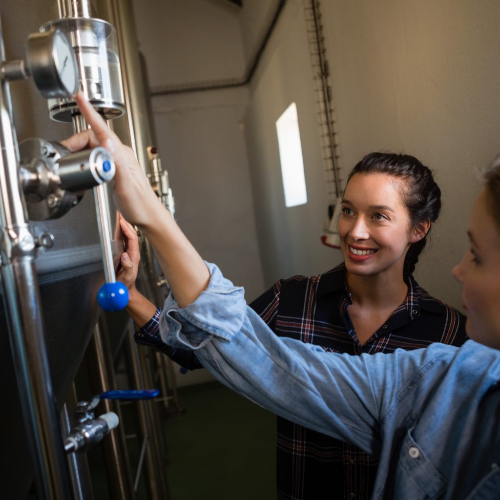 Artisanal Food & Beverage Project - Skills Impact