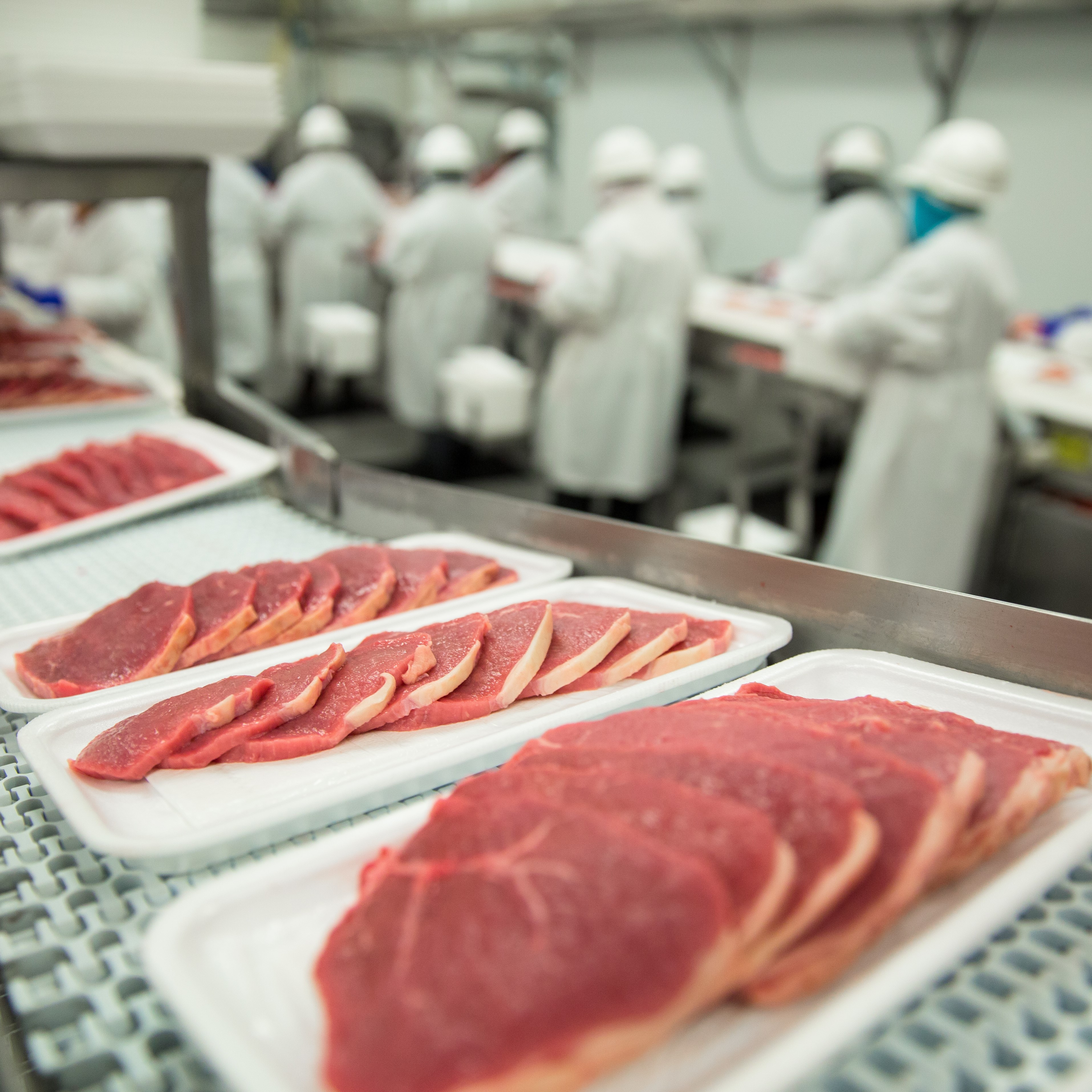 Meat Processing Project Skills Impact