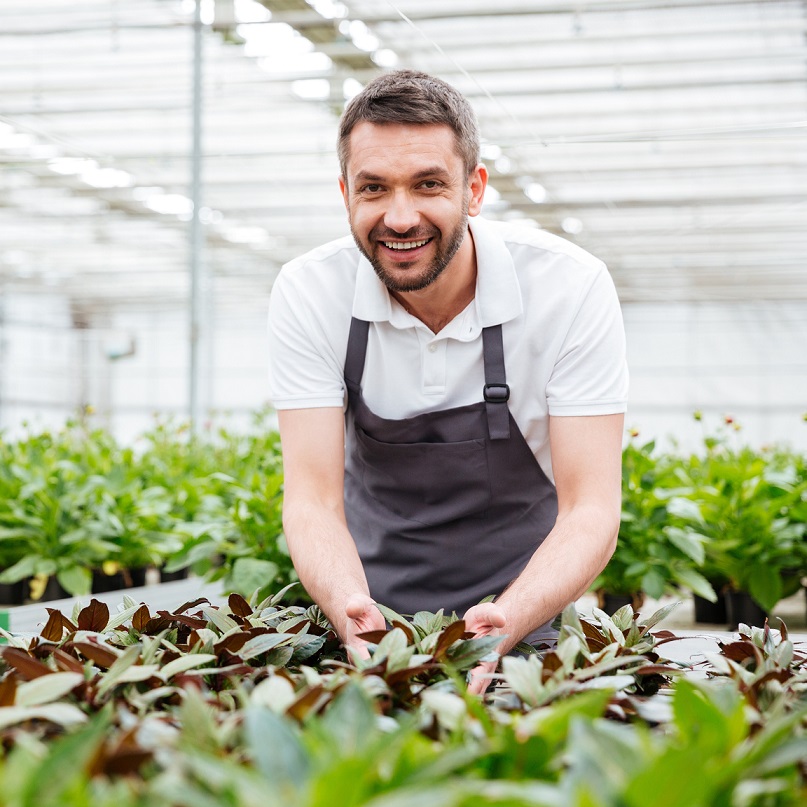 Projects - Skills Impact