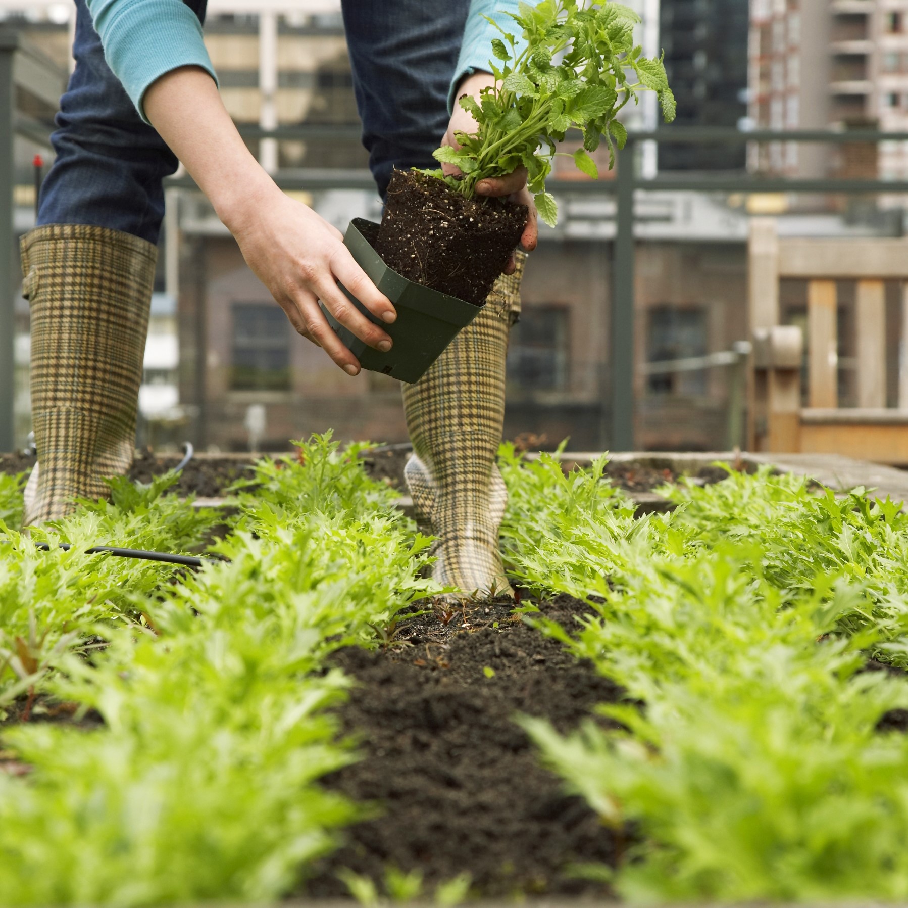 Projects - Skills Impact