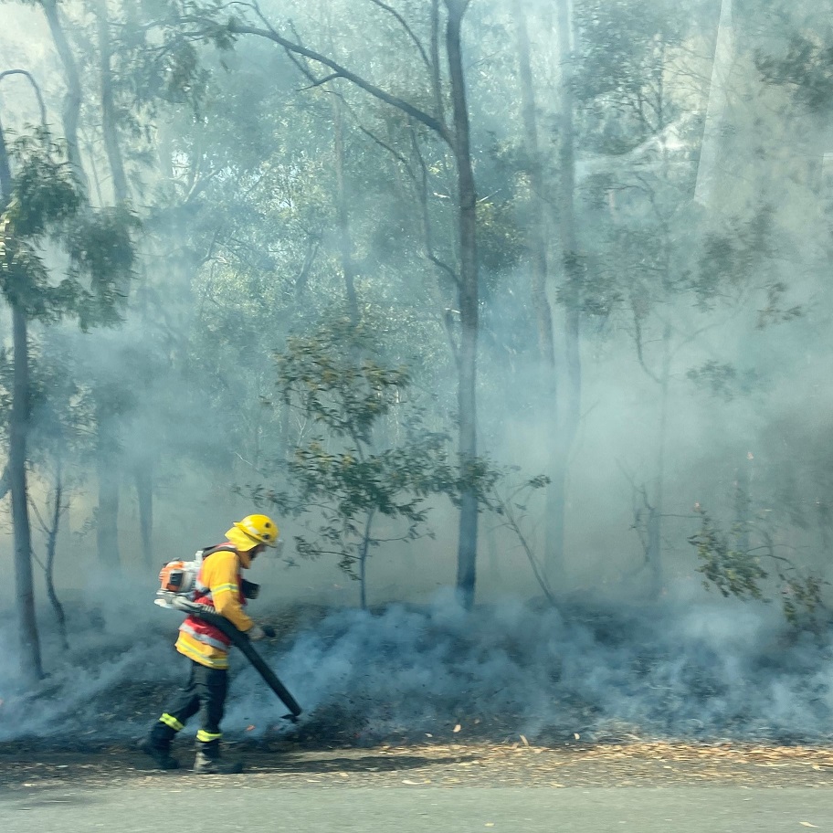 Current Projects - Skills Impact